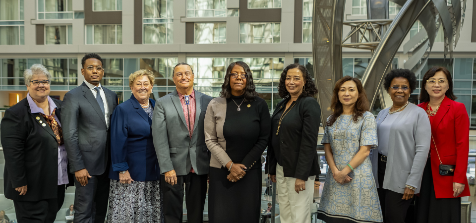 Board of Directors - American Academy of Nursing (AAN)