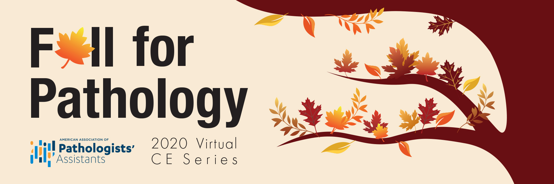 Fall for Pathology: Virtual Poster Session - Groups 4 & 5 Still ...