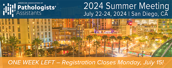 Enjoy Summer Sun and Family Fun in San Diego! 🌞 - American Association ...