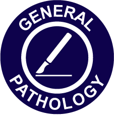 American Association of Pathologists' Assistants (AAPA)