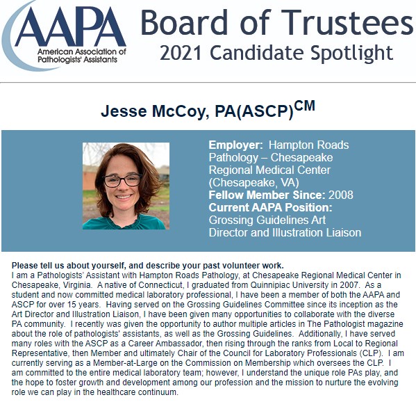 AAPA 2021 BOT Election Spotlight: Jesse McCoy - American Association of ...