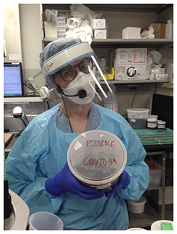 PAs Navigating COVID-19: Erica Price - American Association of ...