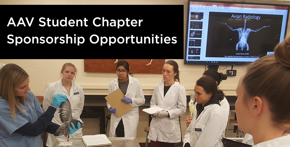 Student Chapter Program Scholarship - Association of Avian Veterinarians