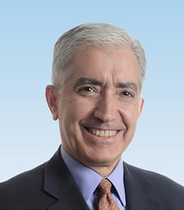 Walid Najjar - American Council of Engineering Companies of New York