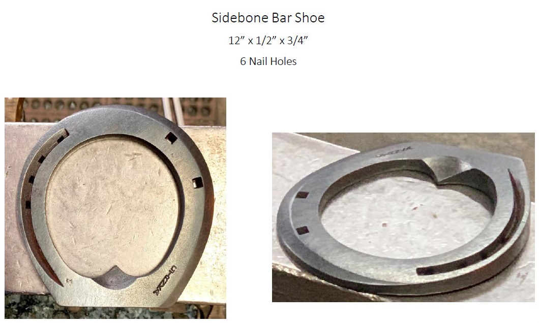 American Farrier's Association