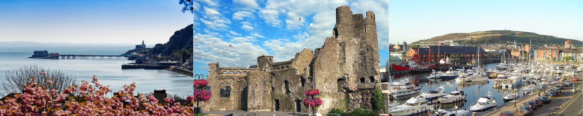 British Nuclear Medicine Society