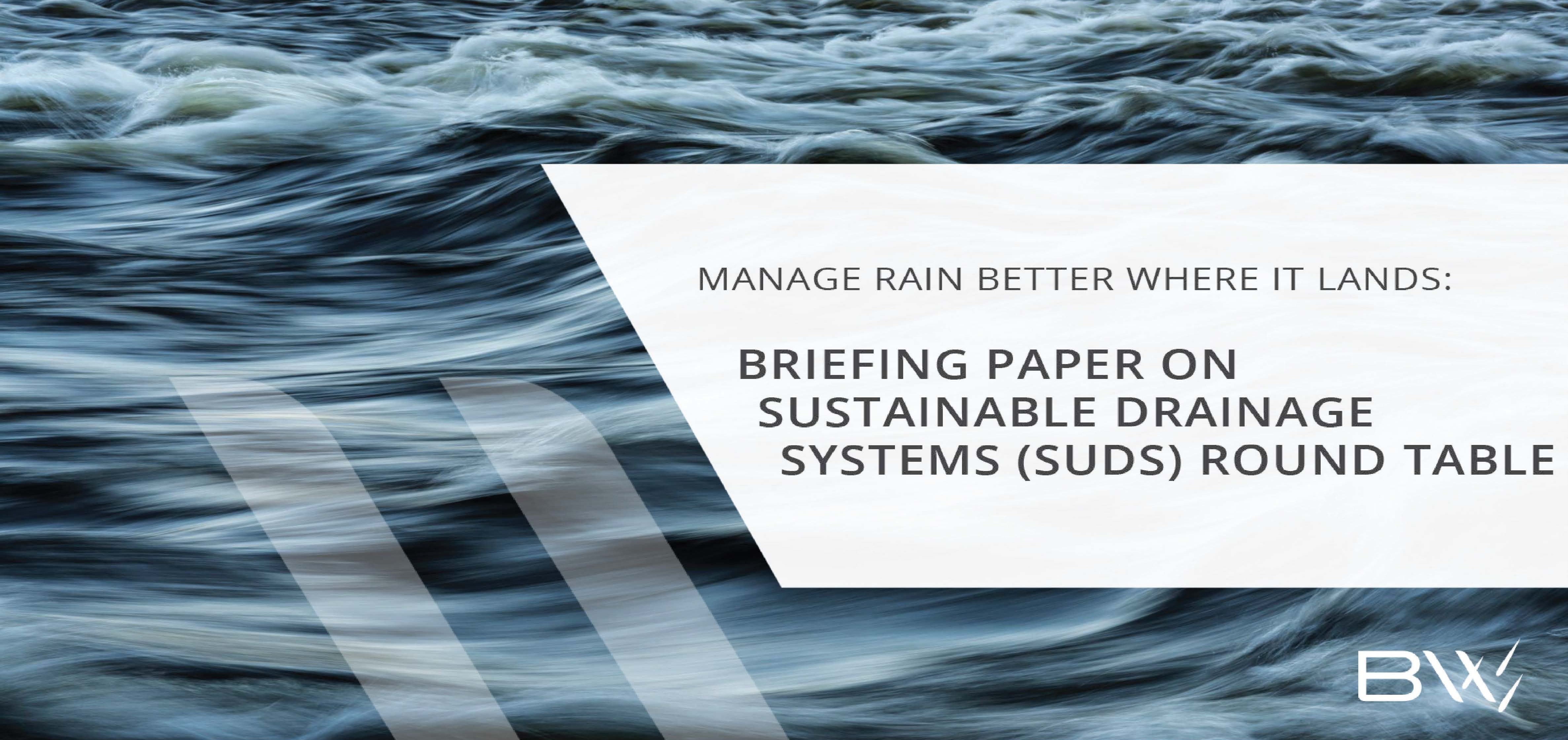 Briefing Paper: Manage Rain Better Where It Lands - British Water