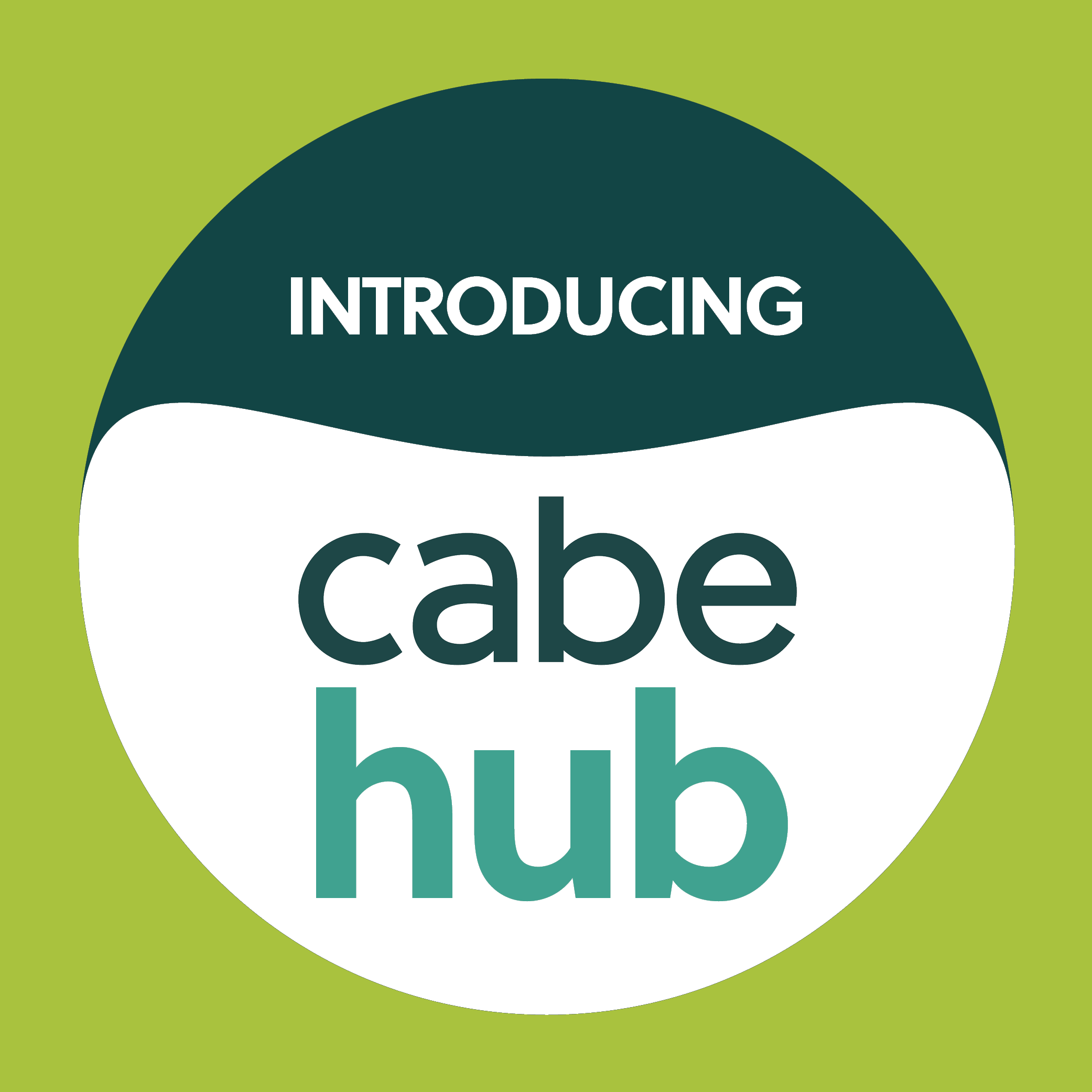 Chartered Association of Building Engineers