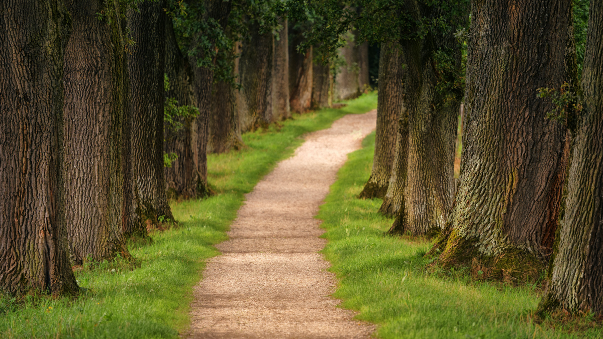 Guided Pathways Part Of A Comprehensive Career Advising Strategy Guided Pathways Part Of A Comprehensive Career Advising Strategy