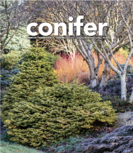 Past Issues 2020s - American Conifer Society