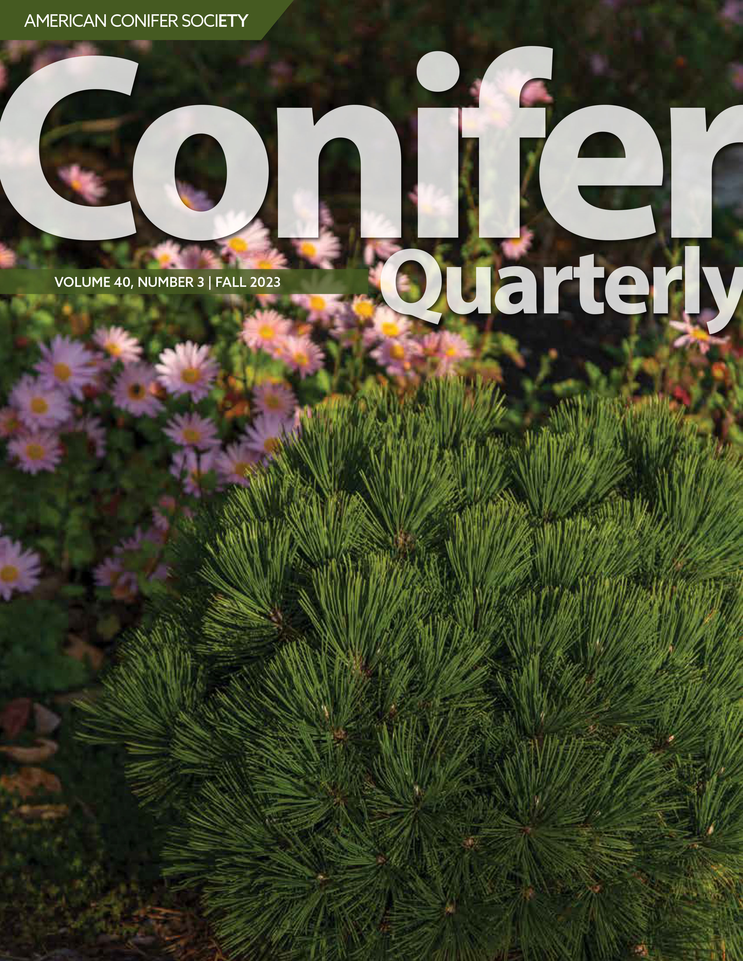 Conifer Quarterly - American Conifer Society