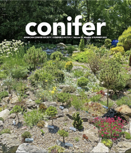 Past Issues 2020s - American Conifer Society