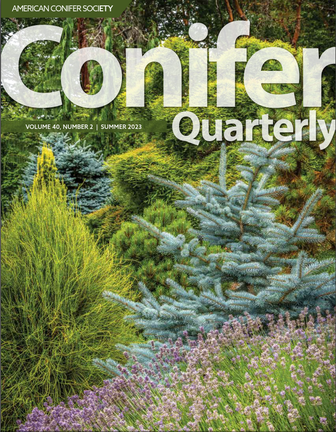 Conifer Quarterly - American Conifer Society