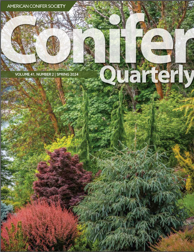 Conifer Quarterly - American Conifer Society