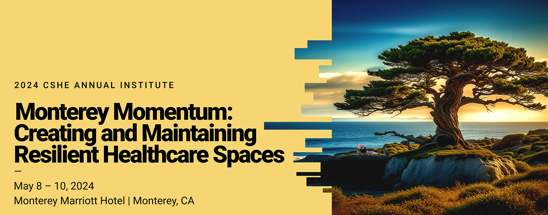 California Society for Healthcare Engineering Inc. (CSHE)