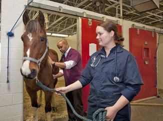 About - American College of Veterinary Behaviorists