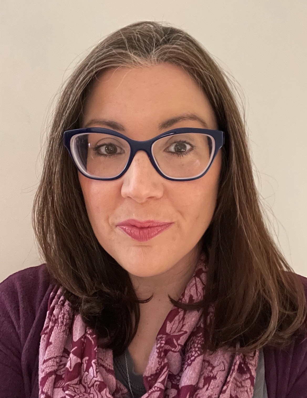 SEM Public Ethnomusicology Mentoring Program - Society for Ethnomusicology