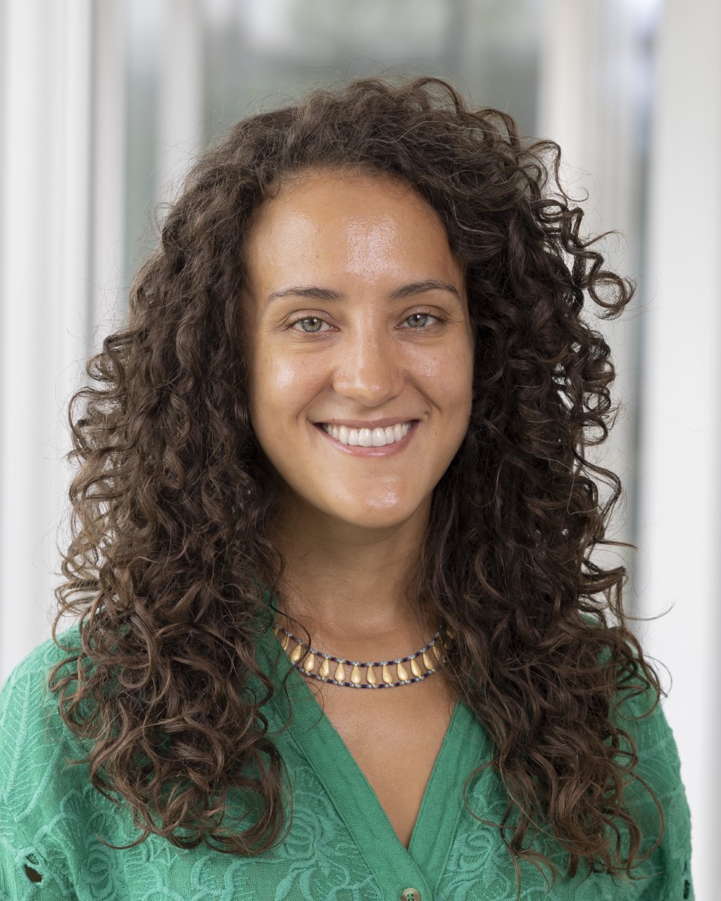 The SEM Council - Society for Ethnomusicology