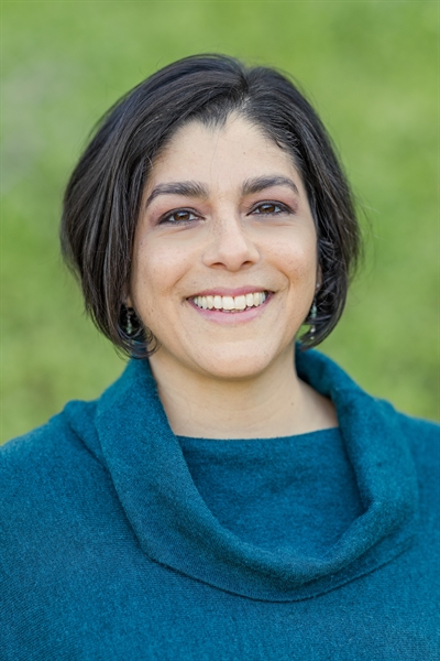 The SEM Council - Society for Ethnomusicology