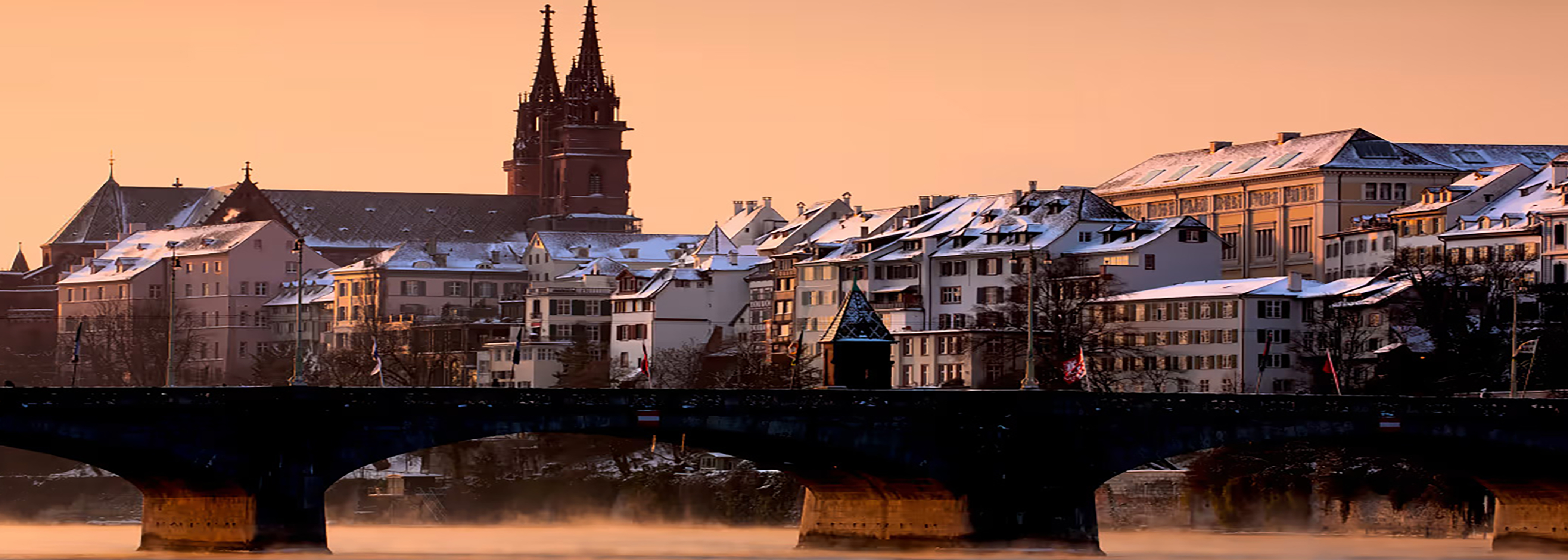 European Teratology Society