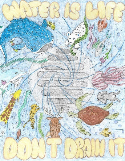 Council - Public Affairs Drop Savers - Florida Section of the American ...