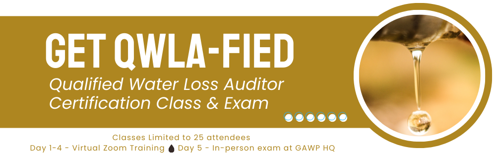 Georgia Association of Water Professionals