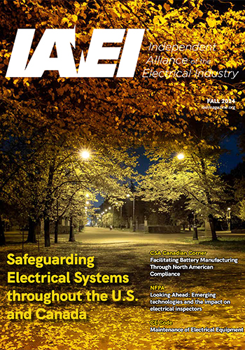 IAEI Magazine Flipchart Archive - International Association of ...