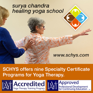 International Association of Yoga Therapists (IAYT) - Yoga Therapy ...