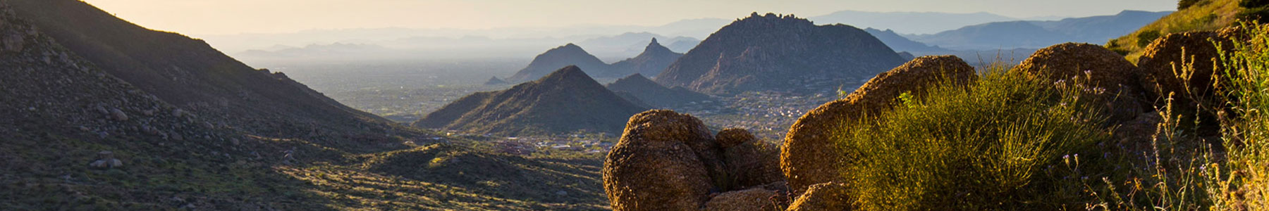 SYTAR 2024 Presenters - International Association of Yoga Therapists (IAYT)