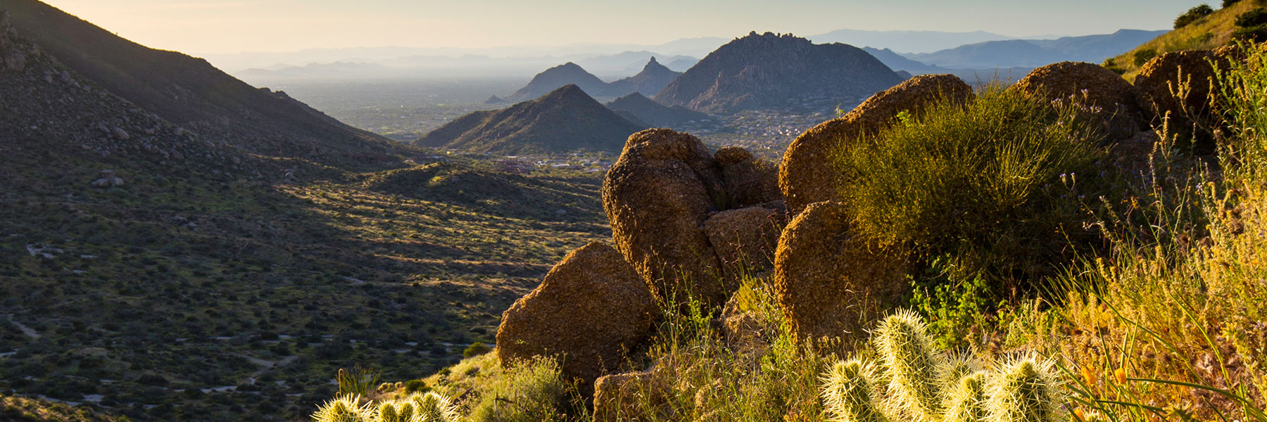 SYTAR 2024 - International Association of Yoga Therapists (IAYT)