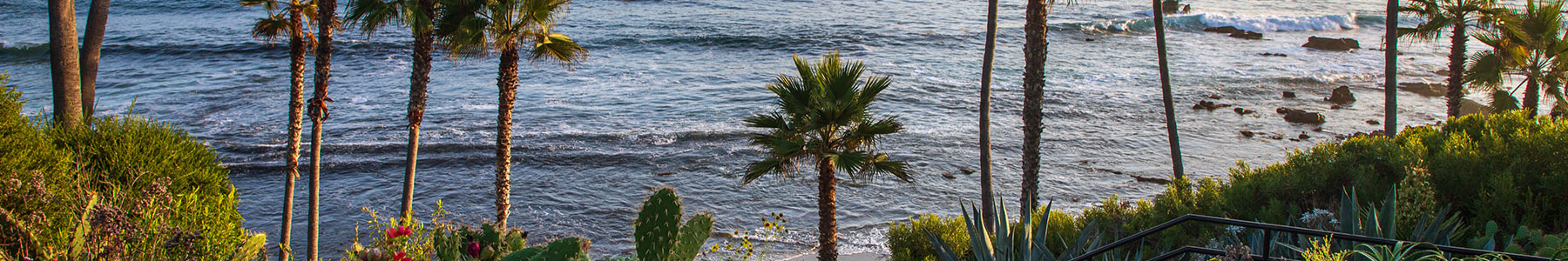 SYTAR 2026 - International Association of Yoga Therapists (IAYT)