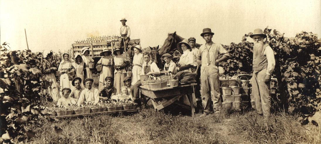 History of Illinois Wine - Illinois Grape Growers And Vintners Alliance