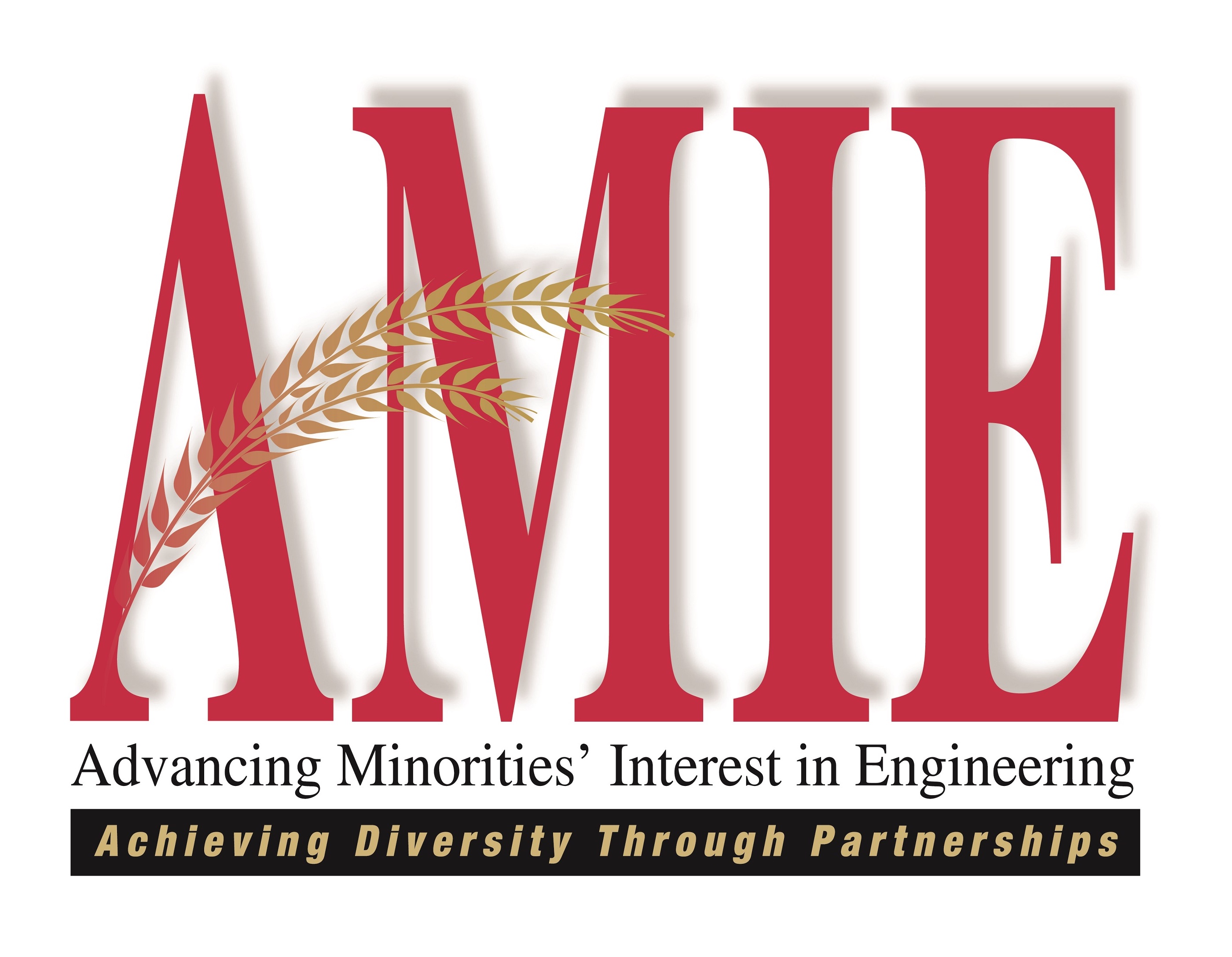 Amie Logo