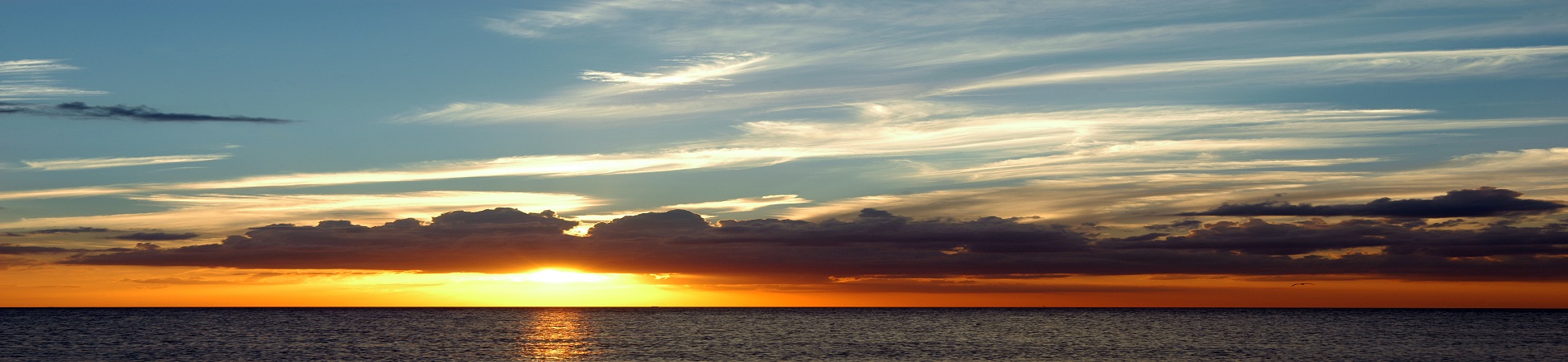 International Registration Plan, Inc.