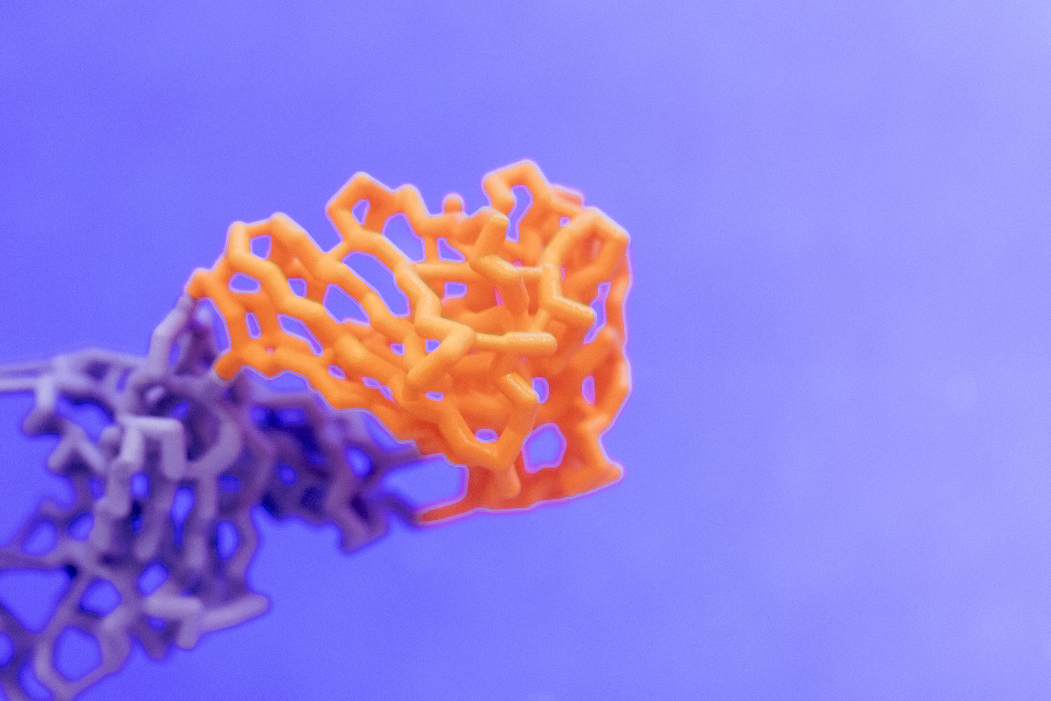 Leadership Development Program - International Society for Advancement ...