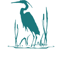 Register for SWS 2025 Annual Meeting, Field Trips & Workshops ...