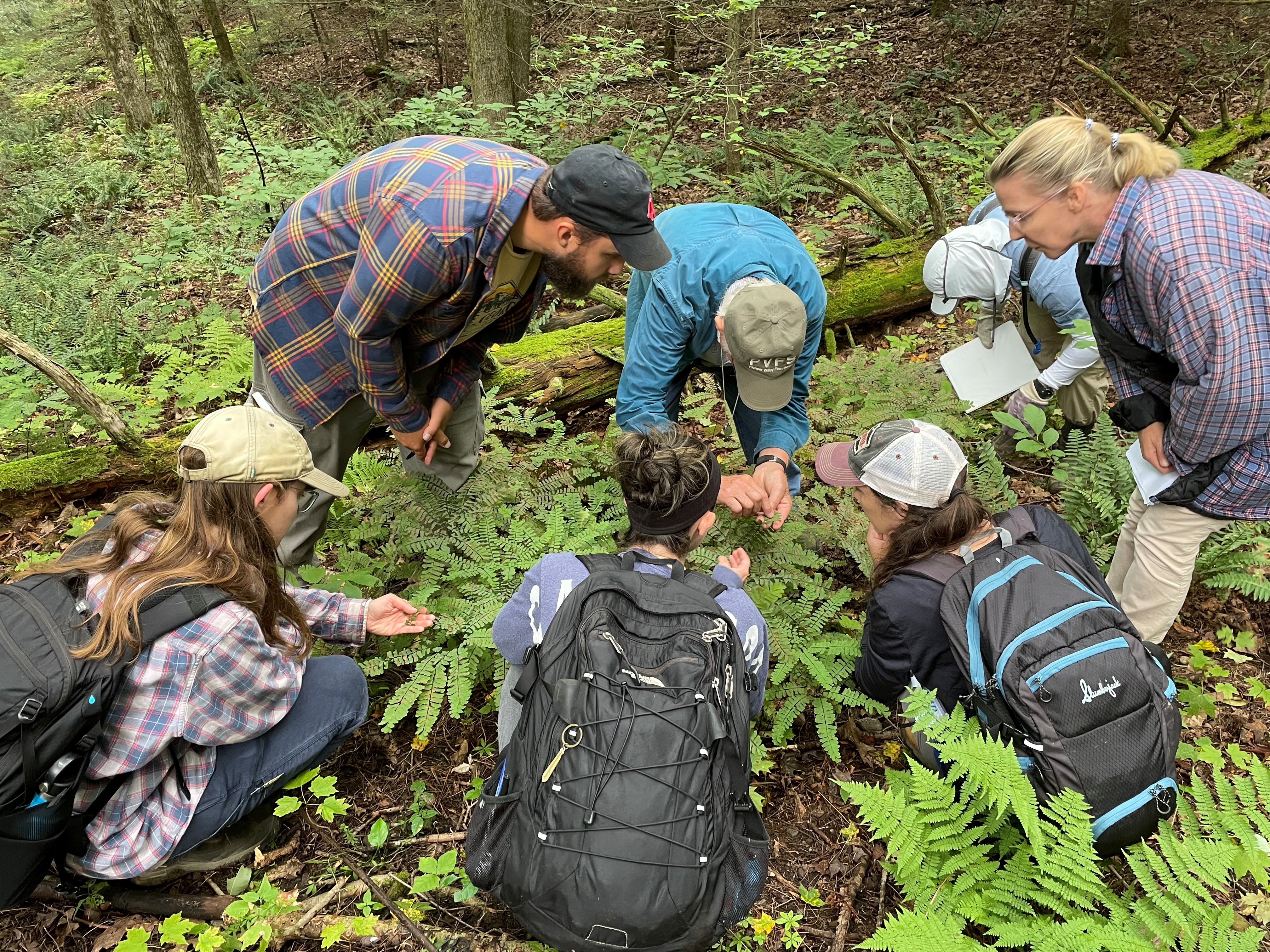 Massachusetts Association of Conservation Commissions