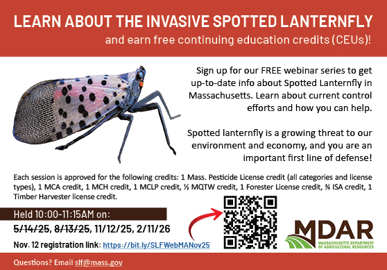 Invasive Spotted Lanternfly Information Sessions - Massachusetts ...