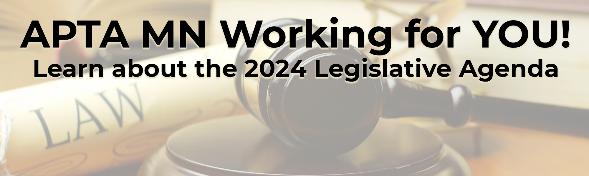 APTA Minnesota