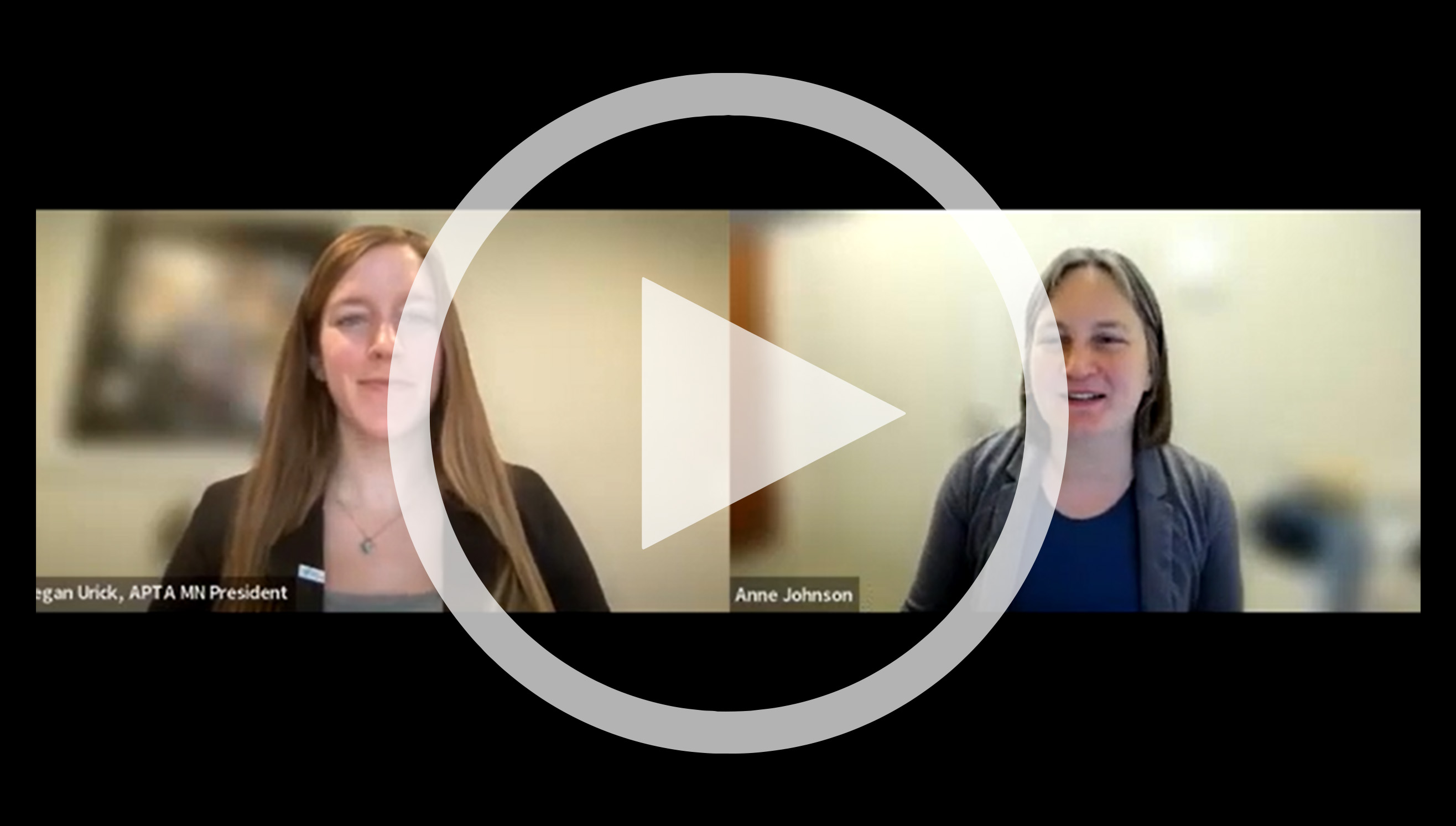 State Government Affairs Committee - APTA Minnesota