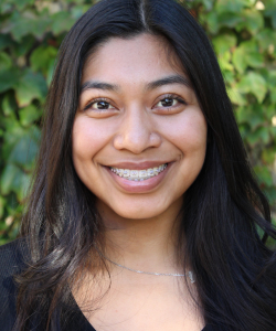 Mountain Pacific Association of Colleges and Employers