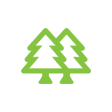 Mississippi Forestry Association