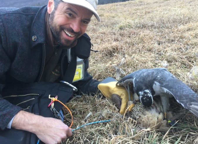North American Falconers Association