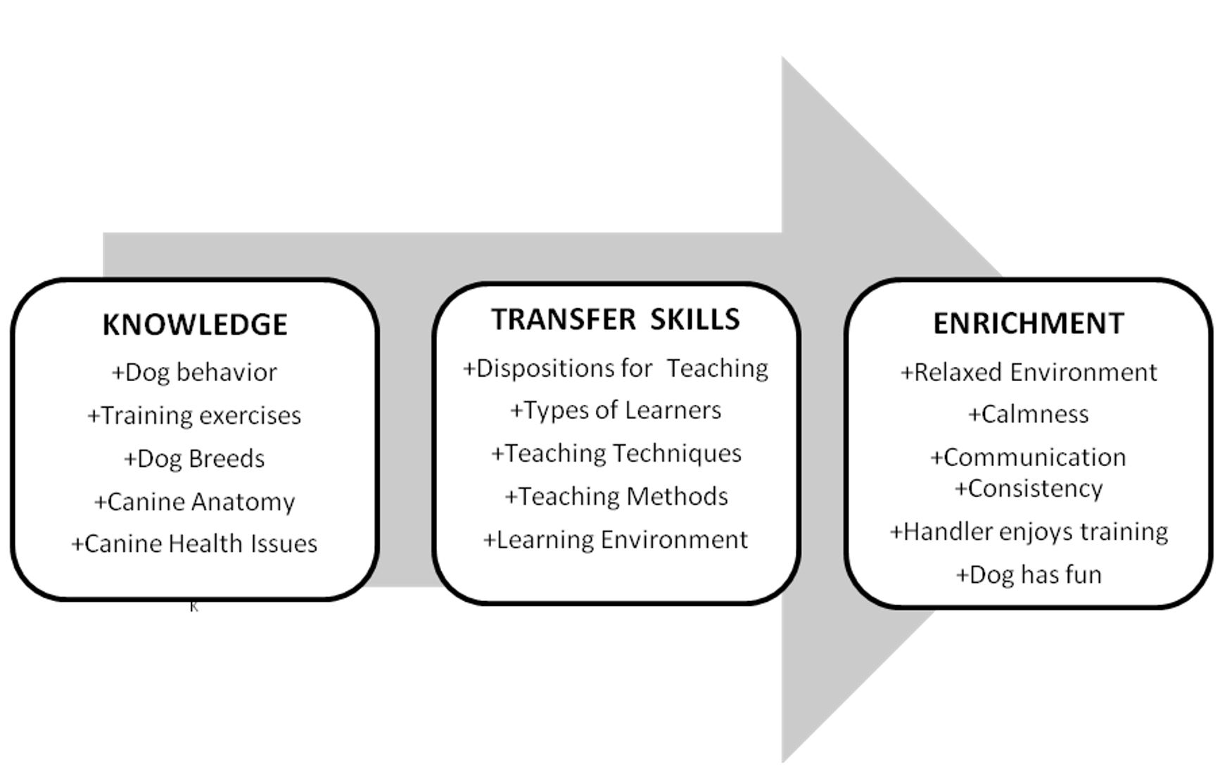 What Are The Different Types Of Dog Training Methods
