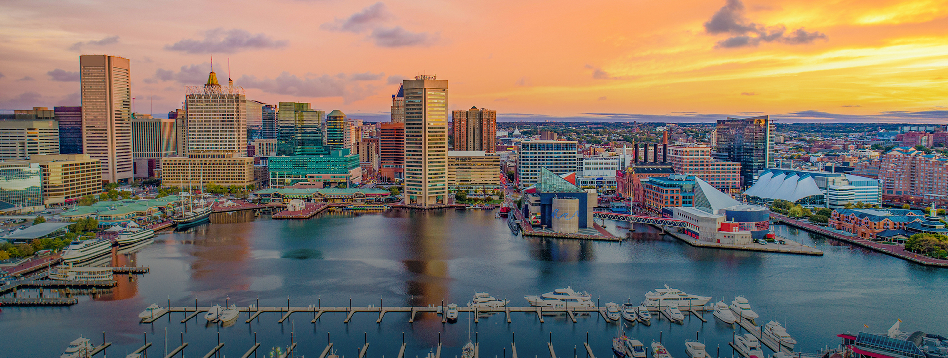 National Association of Disability Representatives (NADR)