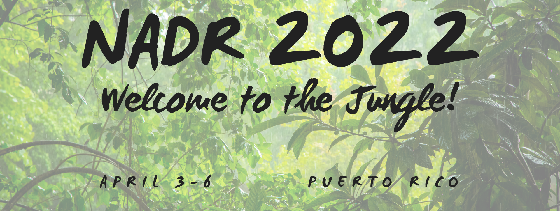 National Association of Disability Representatives (NADR)