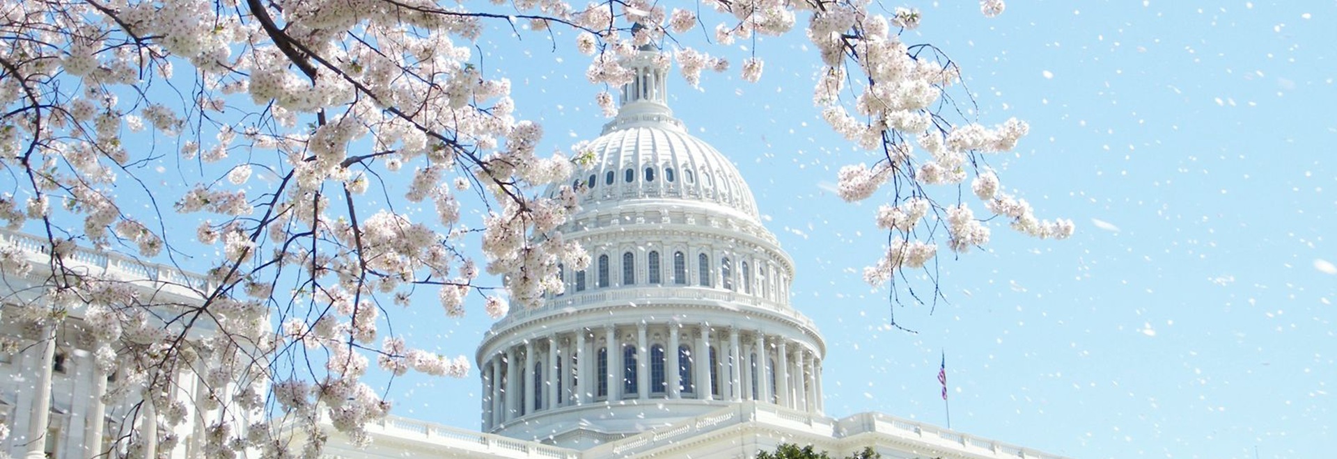 National Association of State Aviation Officials