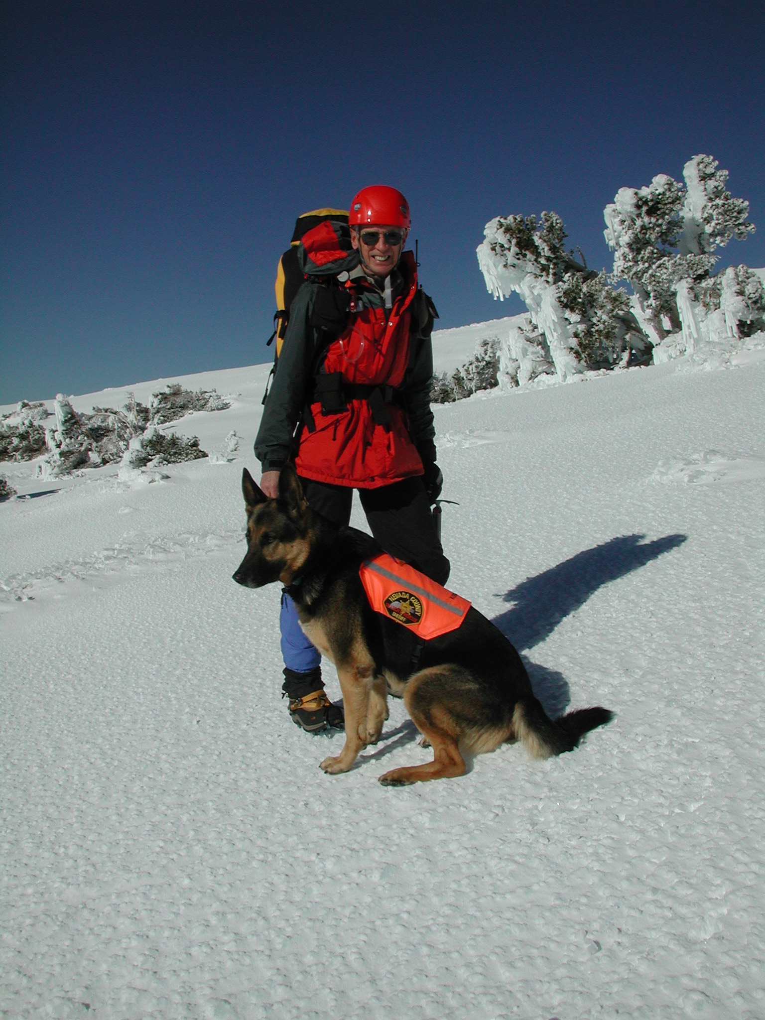 Canine SARTECH Area Team - National Association For Search And Rescue