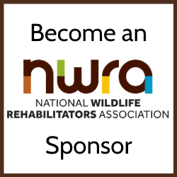 Publications - National Wildlife Rehabilitators Association