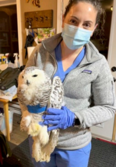 Avian Anesthesia